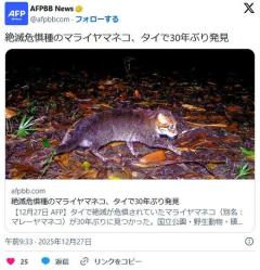 『ポッサム』の全体検索結果｜爆サイ.com北海道版