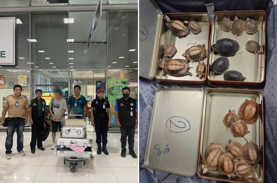 🚨日本人男をバンコクの空港で逮捕、動物密輸未遂で - スレッド閲覧｜爆サイ.com甲信越版
