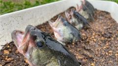 『釣り人』の全体検索結果｜爆サイ.comインドネシア版